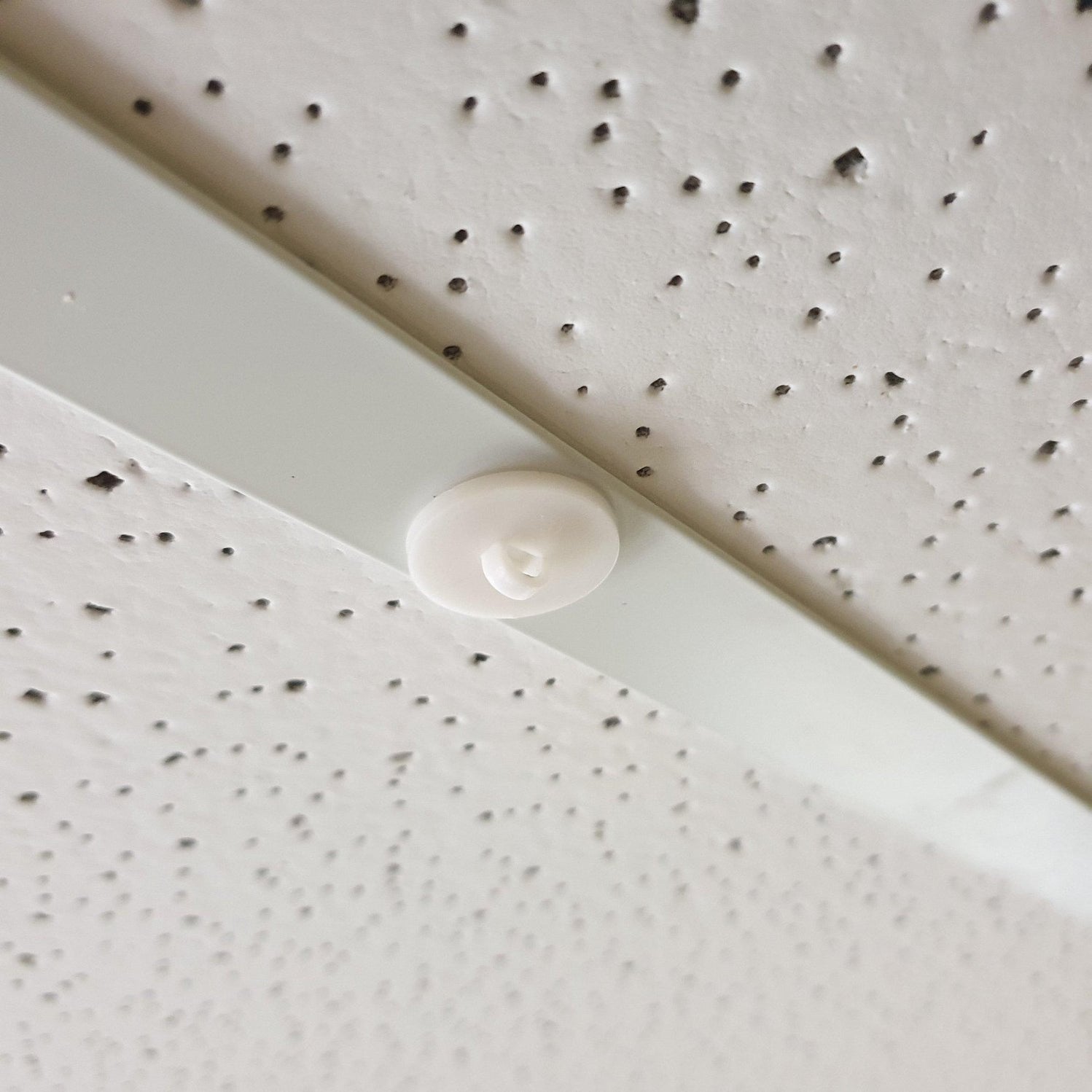 Ceiling and Wall Hanger Removable Adhesive Base HAN22 — Hang and Display