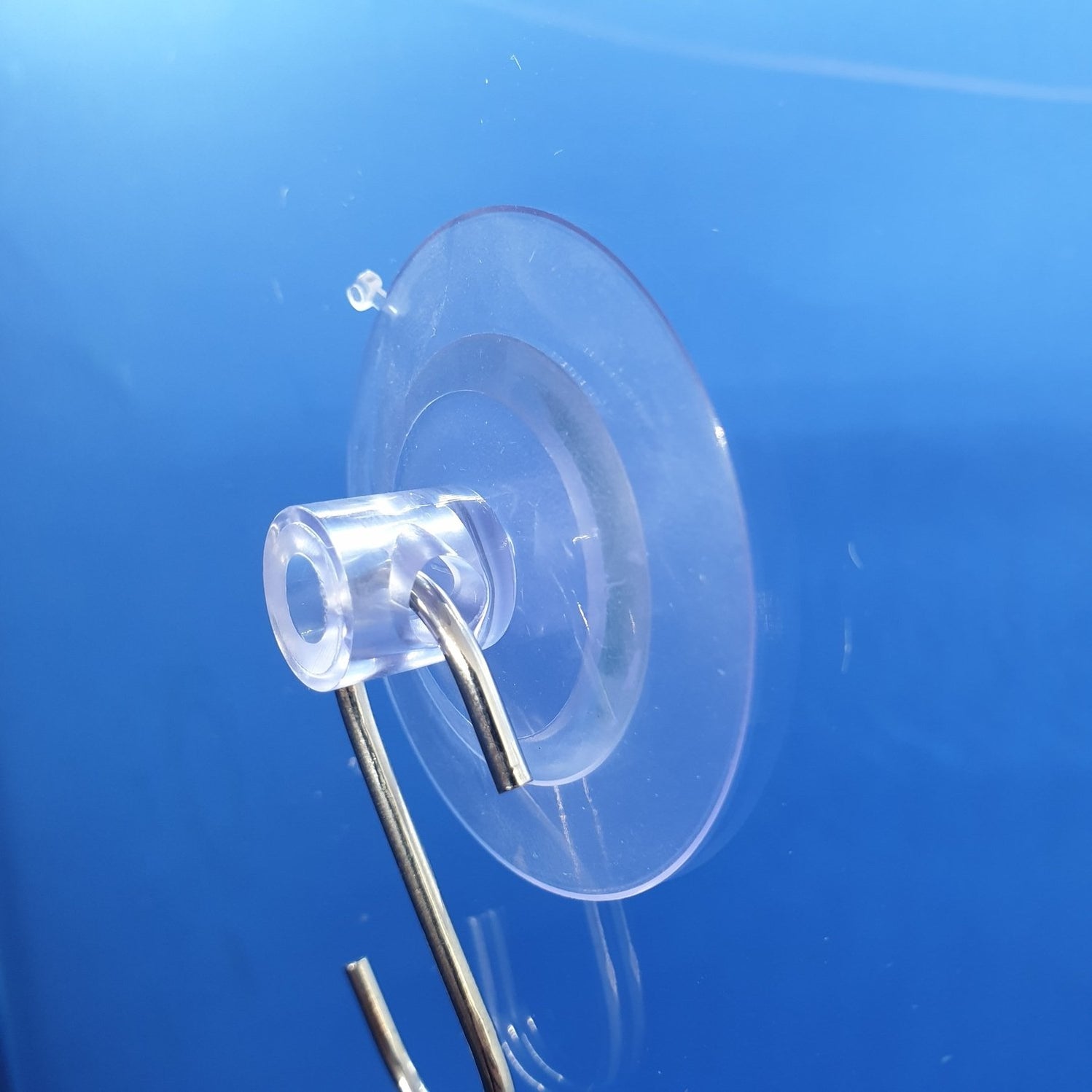 Double Suction Cup Transparent with Holes SUC50 — Hang and Display