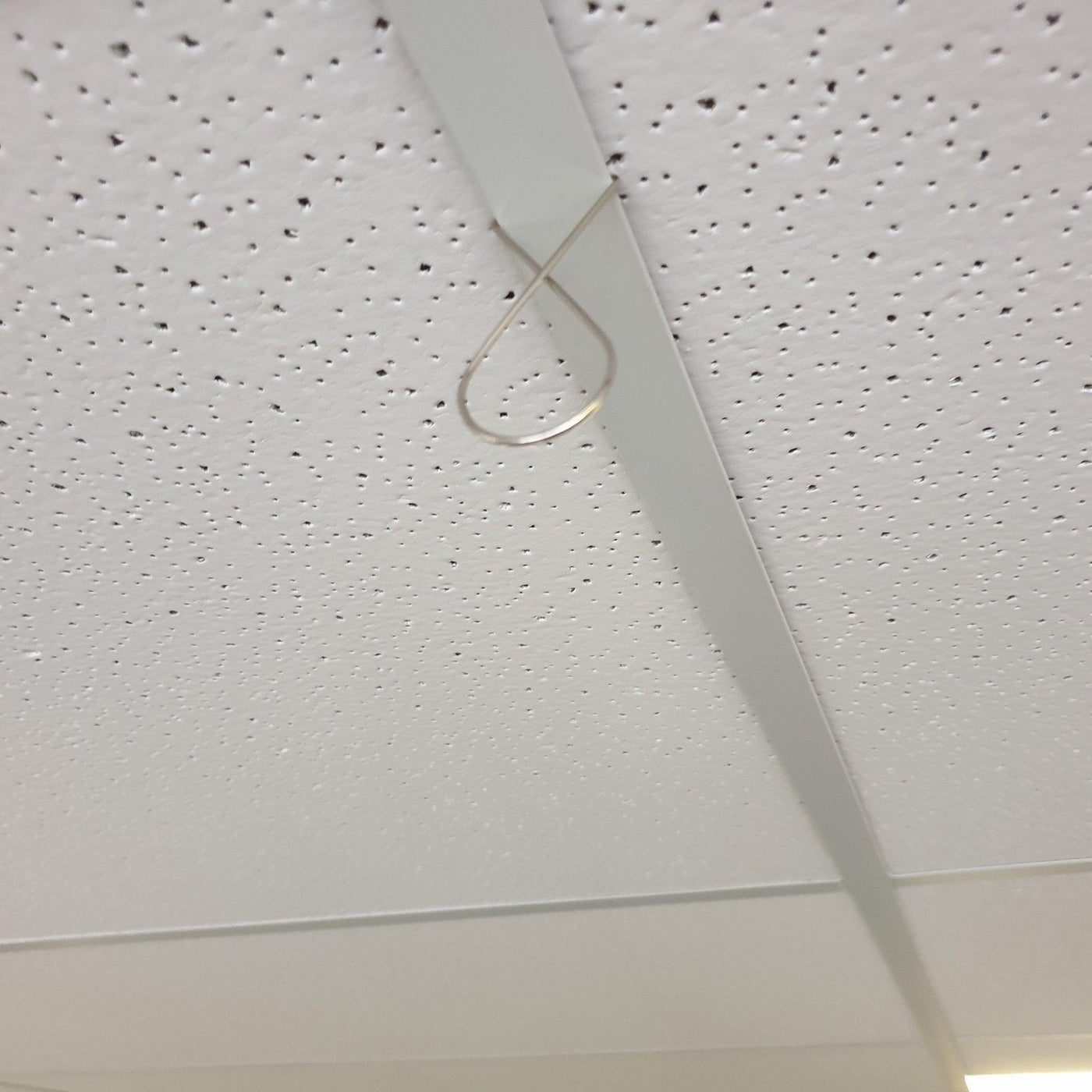 Fish Tail Ceiling Grid Hook for Suspended Ceilings HAN10 — Hang and Display