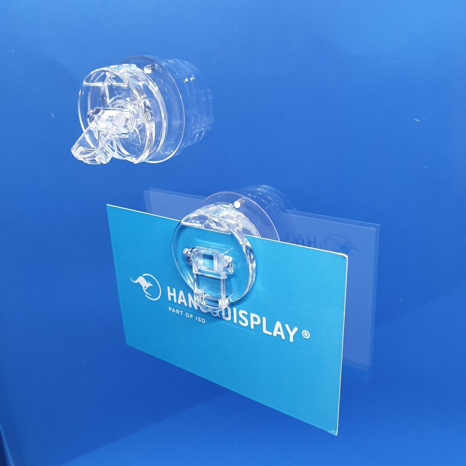 Suction Cups — Hang and Display