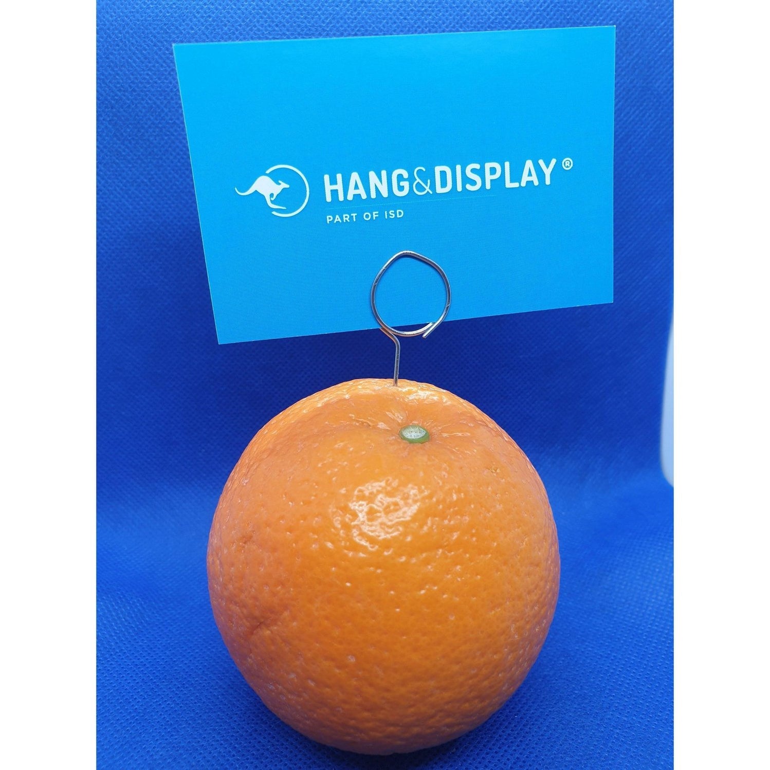 Stainless Steel Piercing Wire Ticket Holder TIC11 — Hang and Display