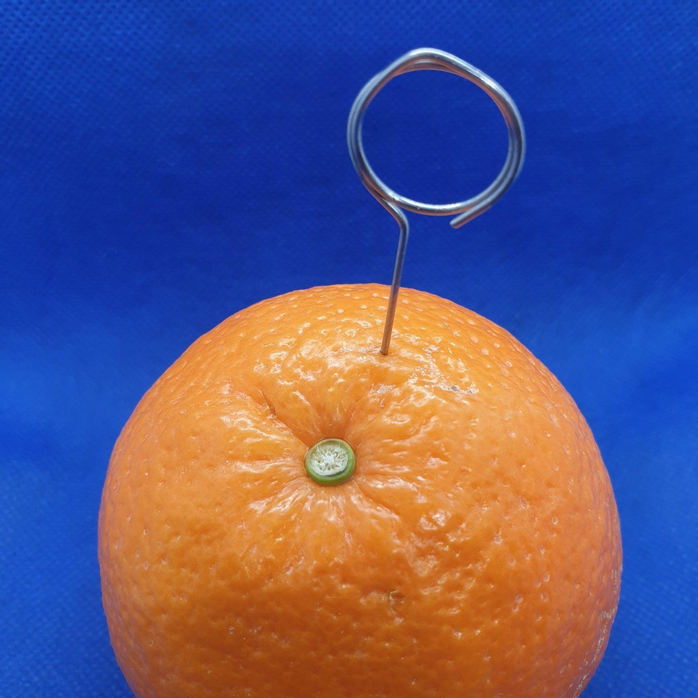 Stainless Steel Piercing Wire Ticket Holder TIC11 — Hang and Display