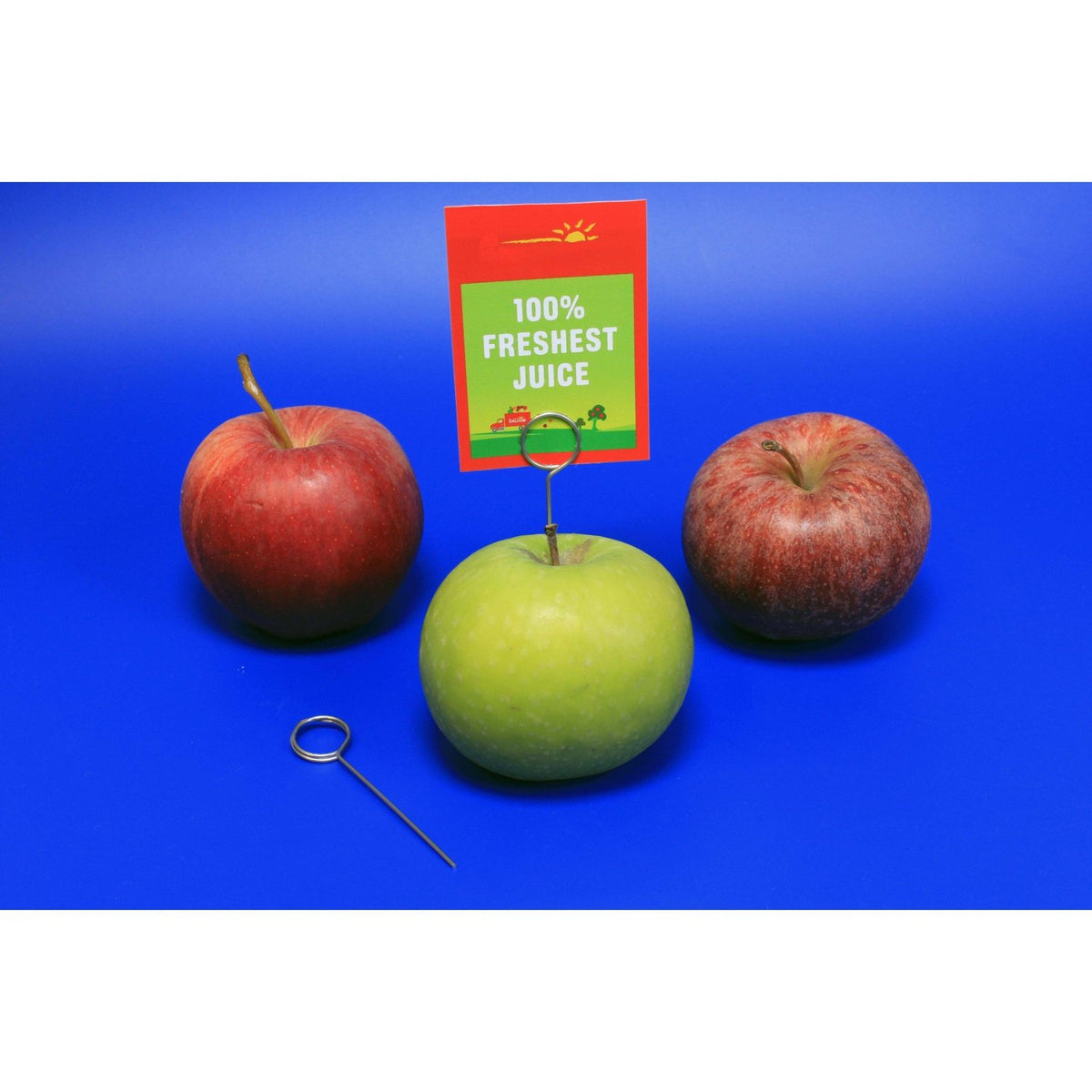 Stainless Steel Piercing Wire Ticket Holder TIC11 — Hang and Display