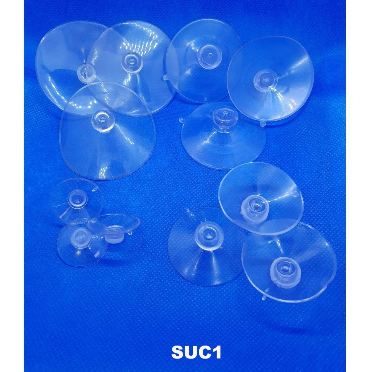 Suction Cups — Hang and Display
