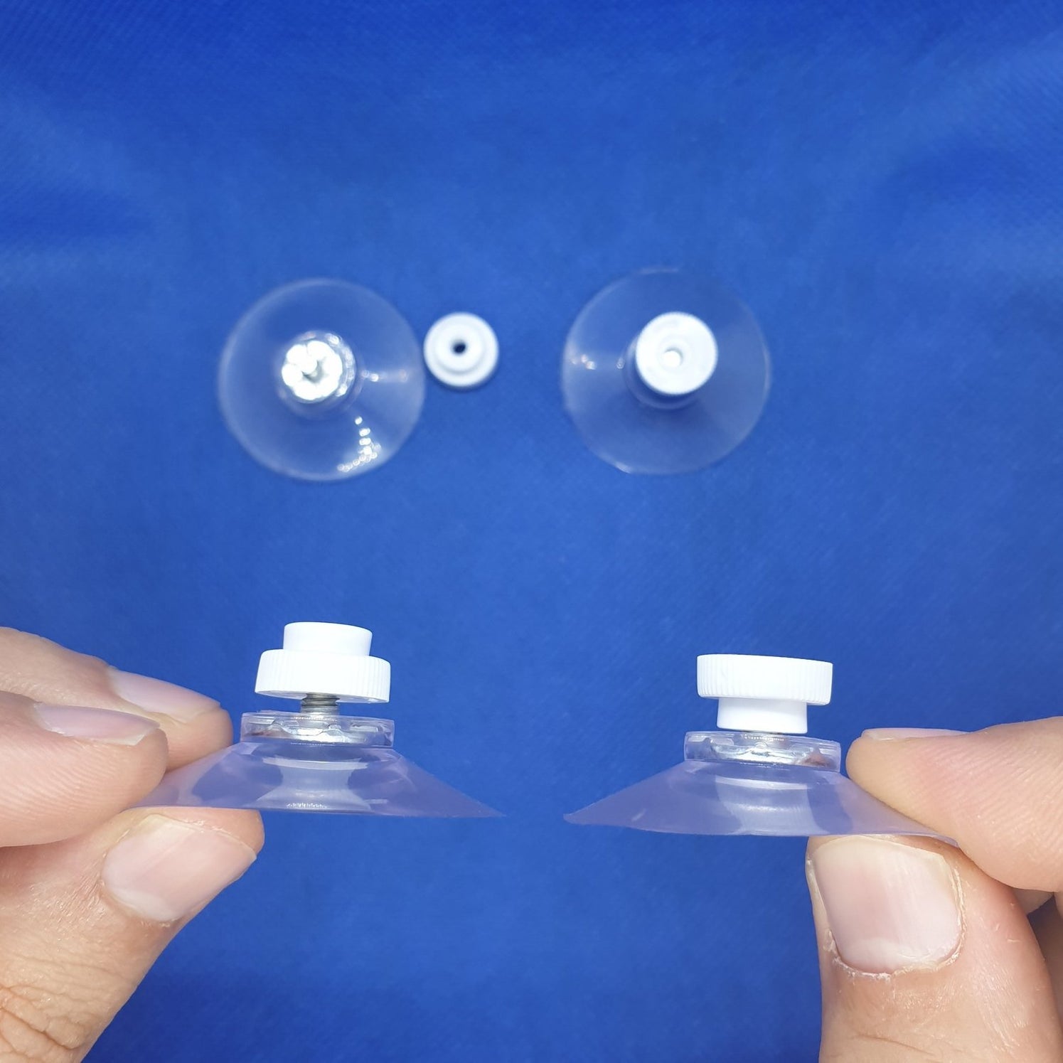 Suction Cups — Hang and Display
