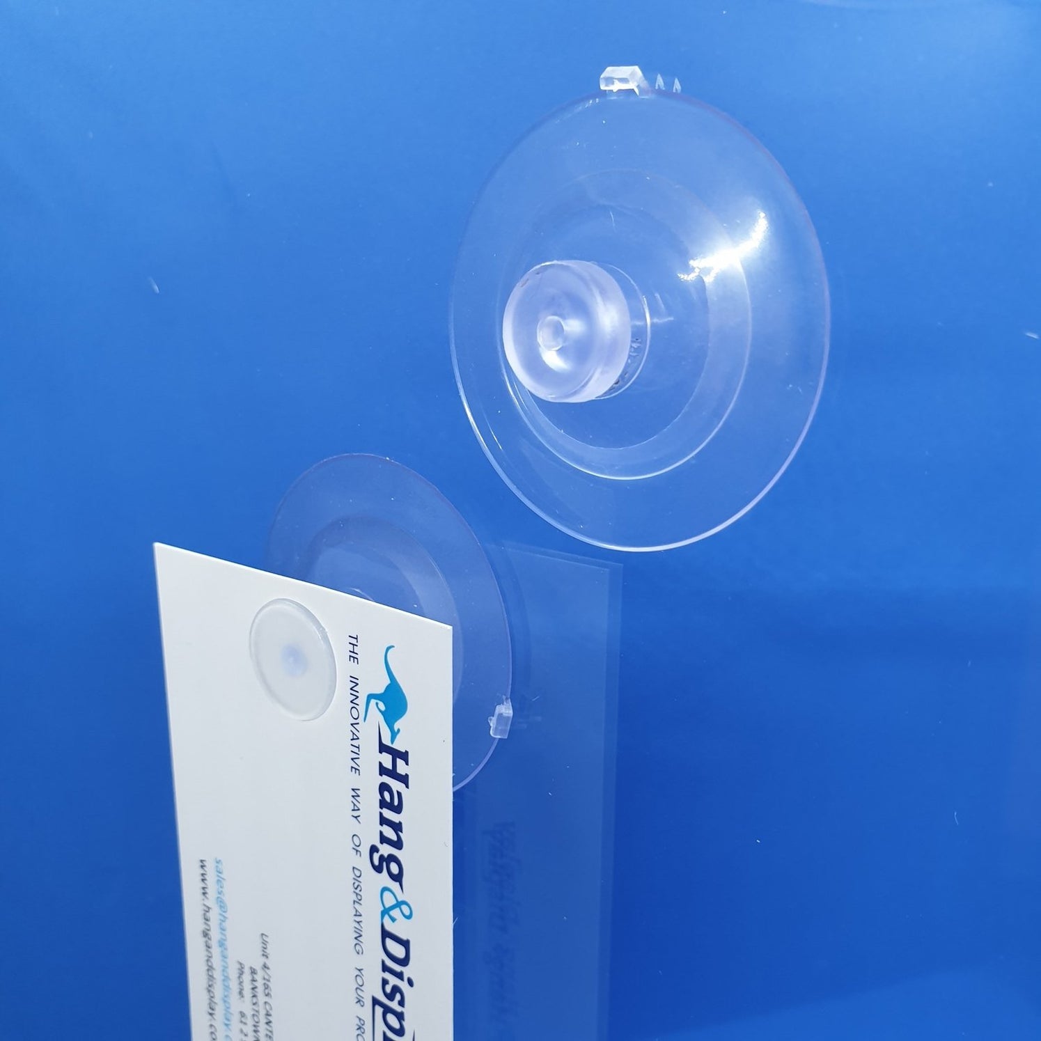 Suction Cups — Hang and Display